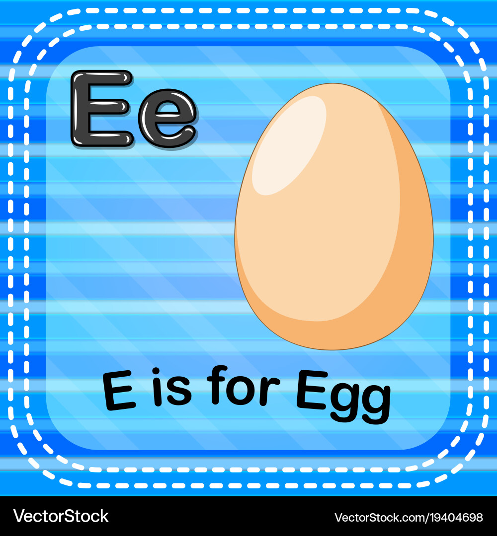 Flashcard letter e is for egg – Royalty-Free Vector | VectorStock