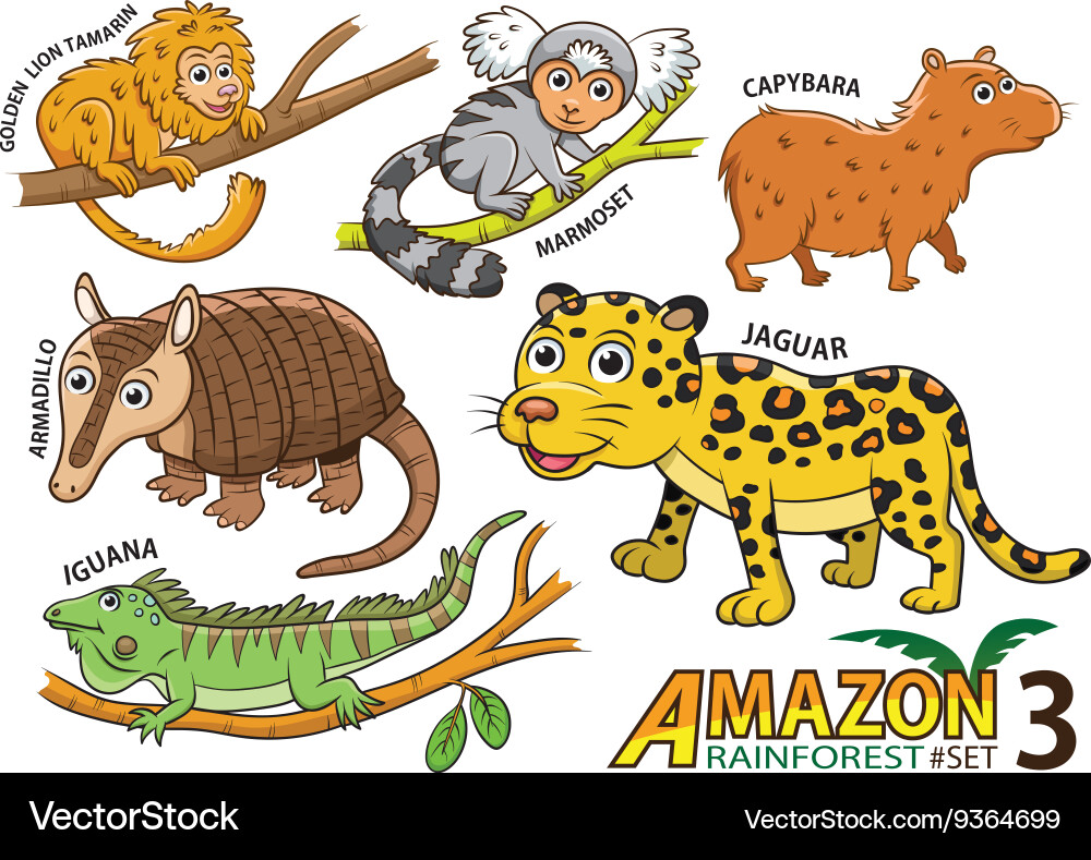 Amazon Jungle Animals Cartoon