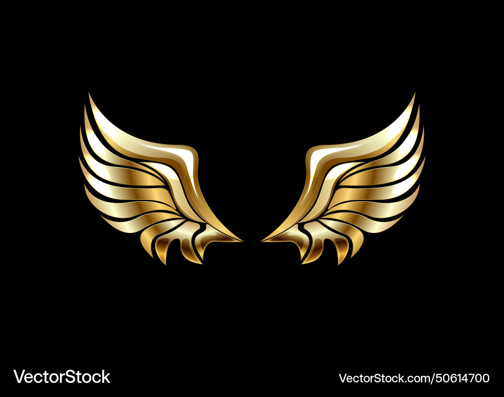Abstract gold wings on black background Royalty Free Vector