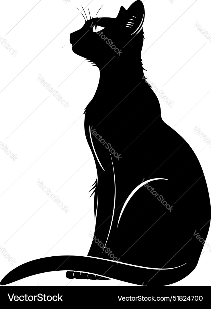 Black cat Royalty Free Vector Image - VectorStock