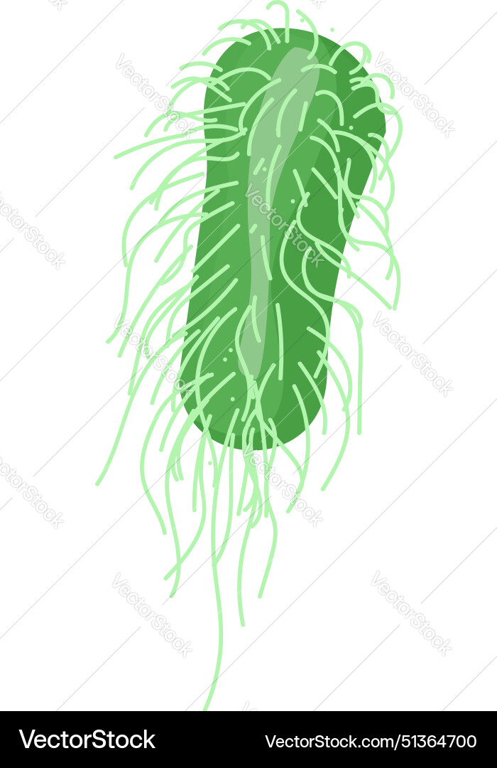 Digital drawing of a single celled green bacteria Vector Image