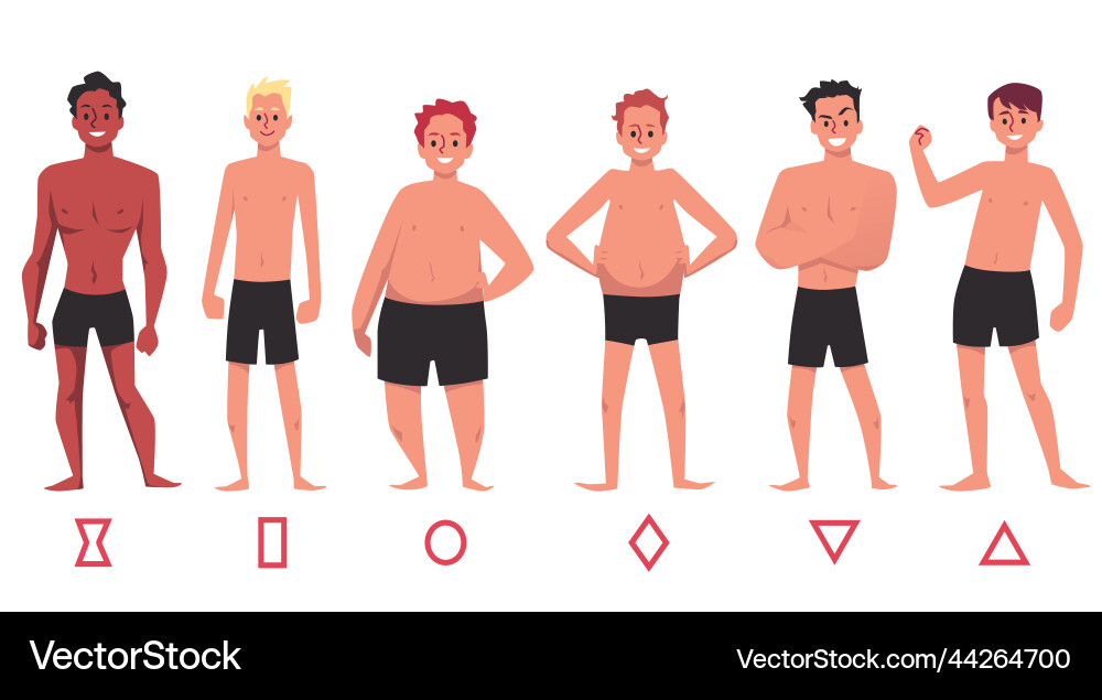 Male Body Types - Diverse Figures Royalty Free Vector Image