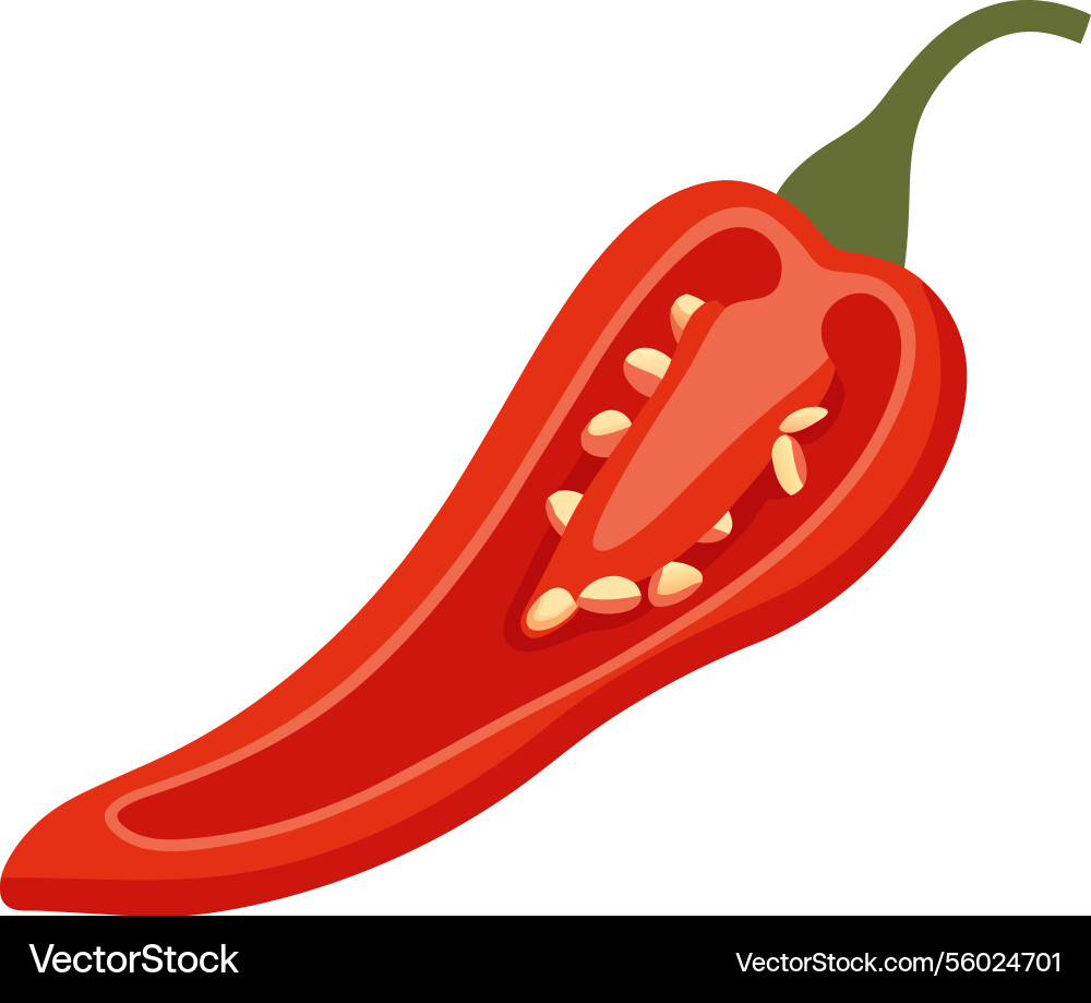A vibrant red chili pepper sliced lengthwise Vector Image