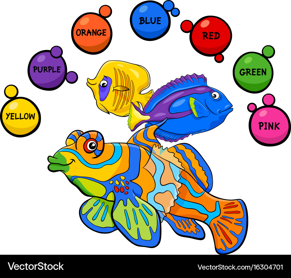 Basic colors educational activity for kids Vector Image
