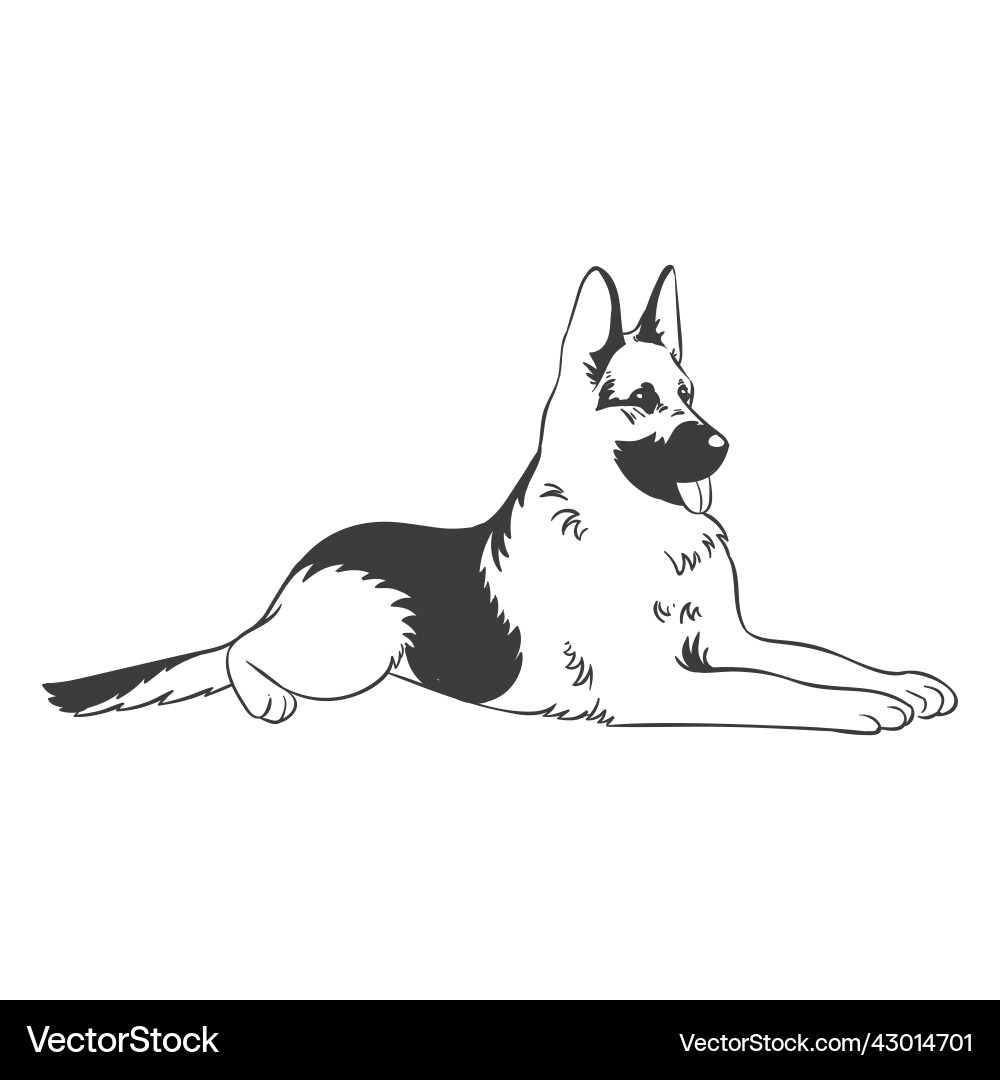 German shepherd laying hand drawn dog Royalty Free Vector