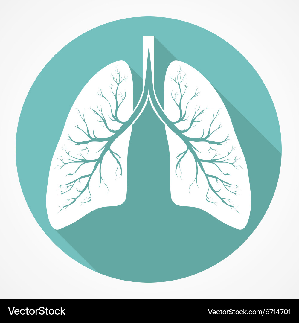 Human lung flat icon Royalty Free Vector Image
