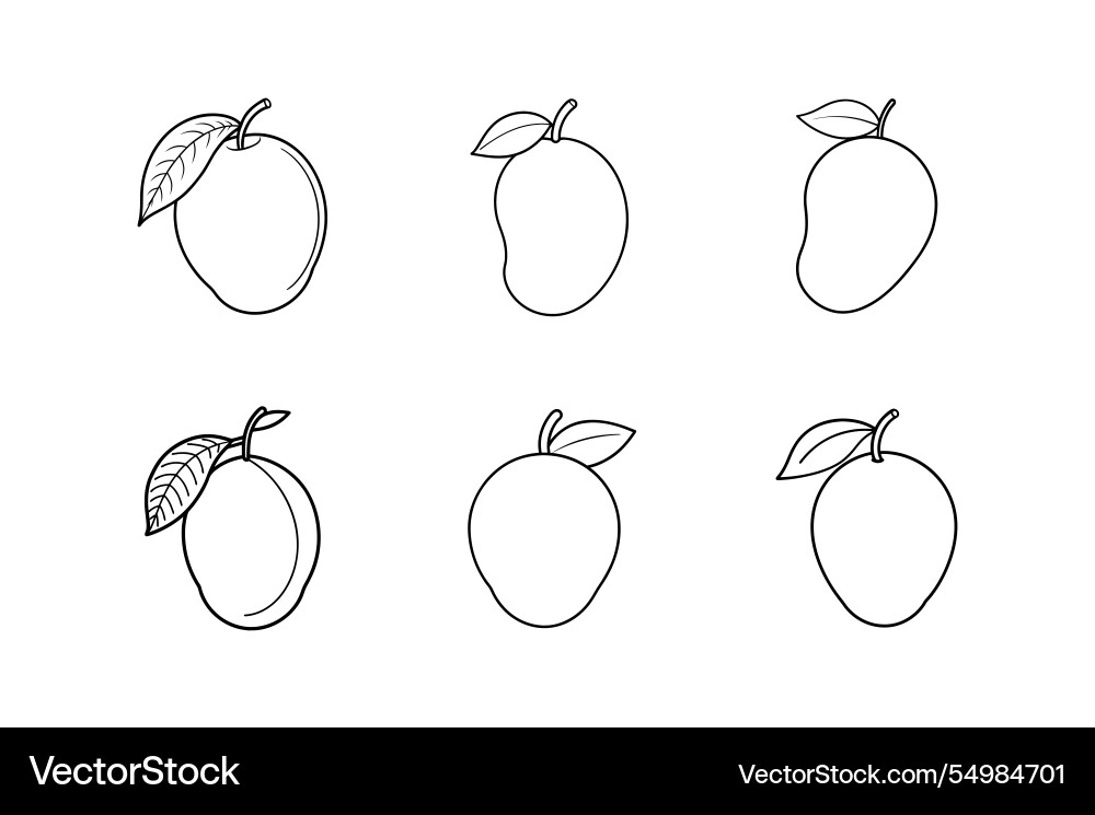 Mango line art Royalty Free Vector Image - VectorStock
