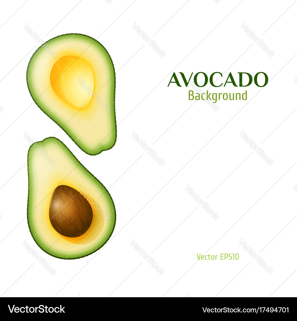 Realistic avocado Royalty Free Vector Image - VectorStock