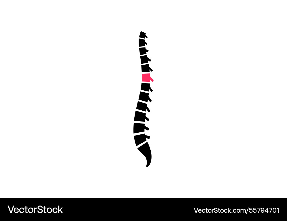 Spine disease pain Royalty Free Vector Image - VectorStock