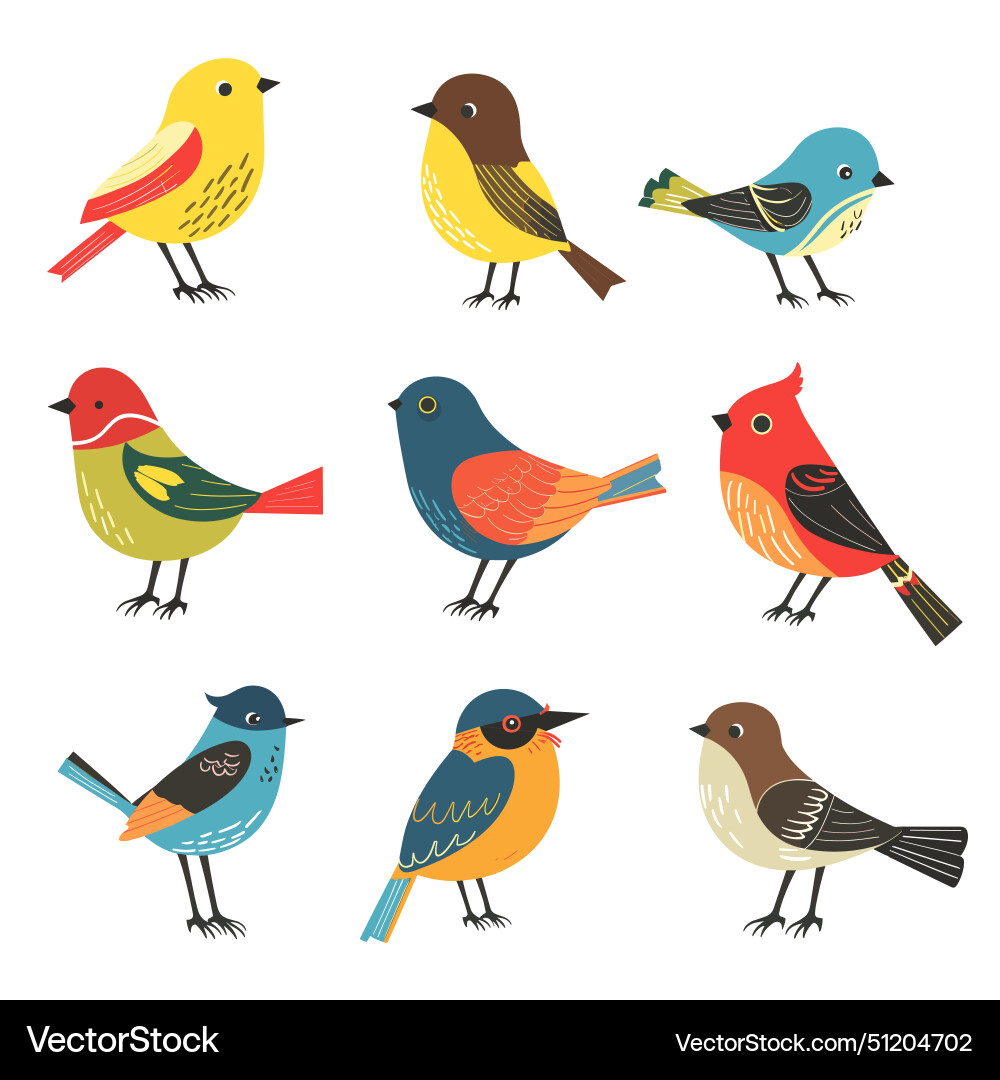 Collection colorful bird various Royalty Free Vector Image
