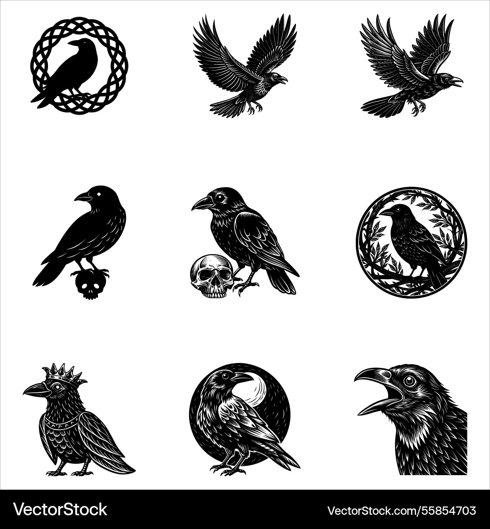 Crow bundle Royalty Free Vector Image - VectorStock