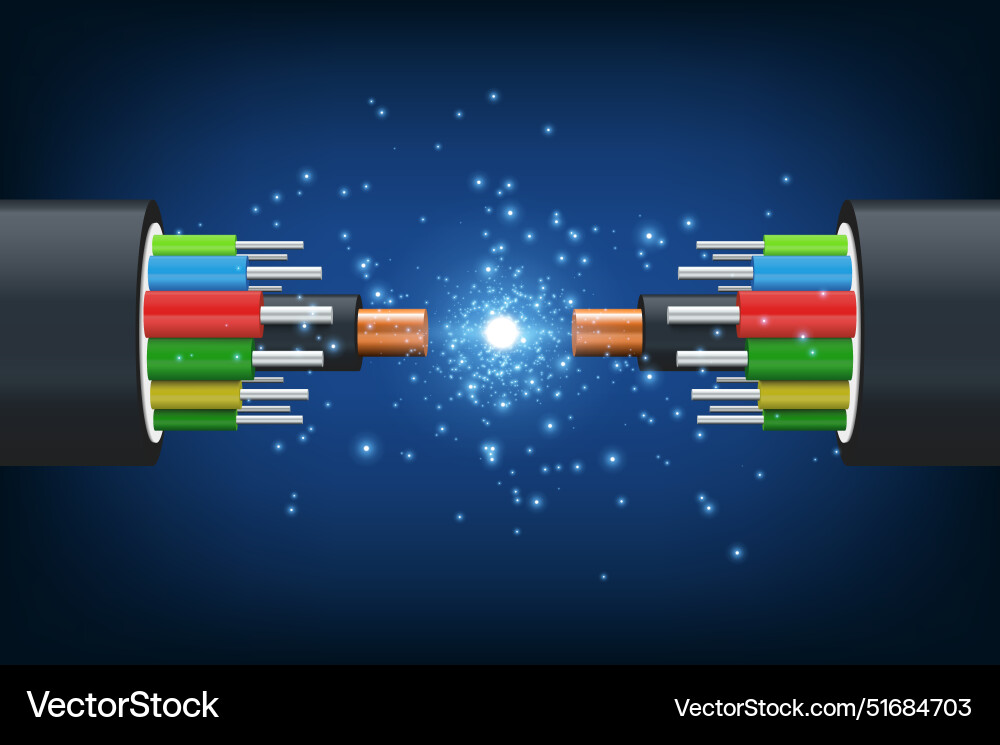 Fiber optical cable Royalty Free Vector Image - VectorStock