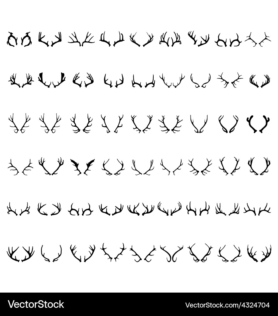 Deer horns Royalty Free Vector Image - VectorStock