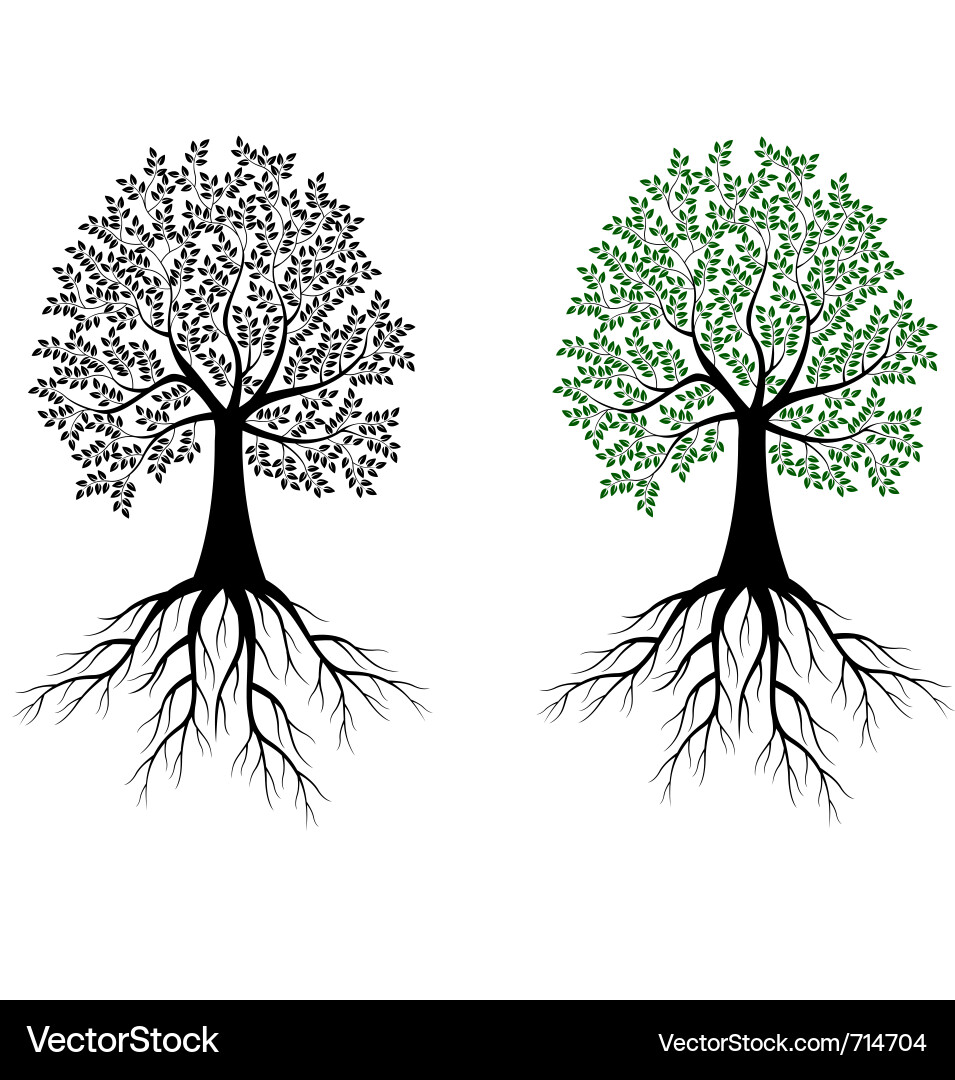 Roots Tree Brown Vector Images (over 1,200)