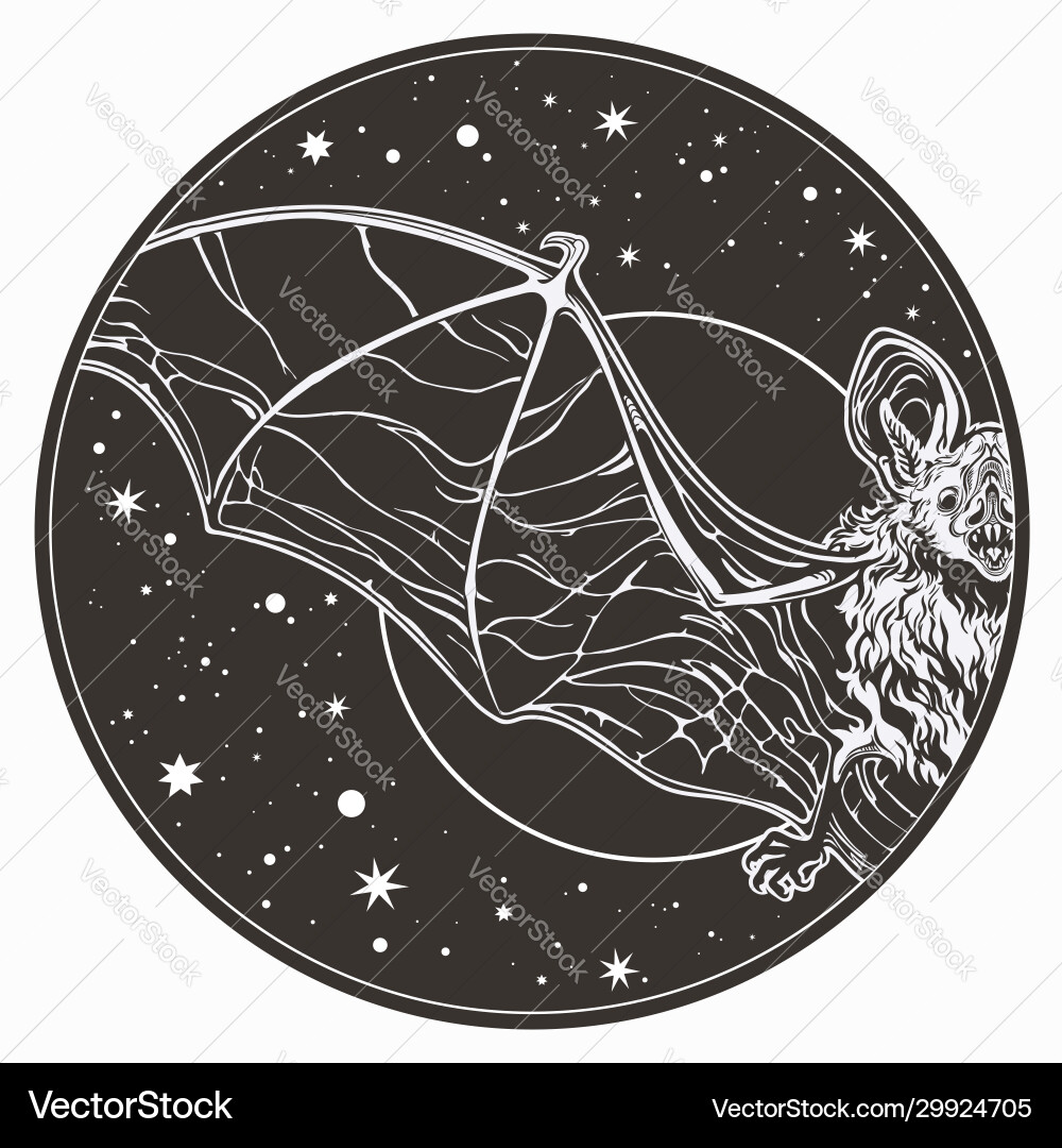 Bat on background moon and sky Royalty Free Vector Image