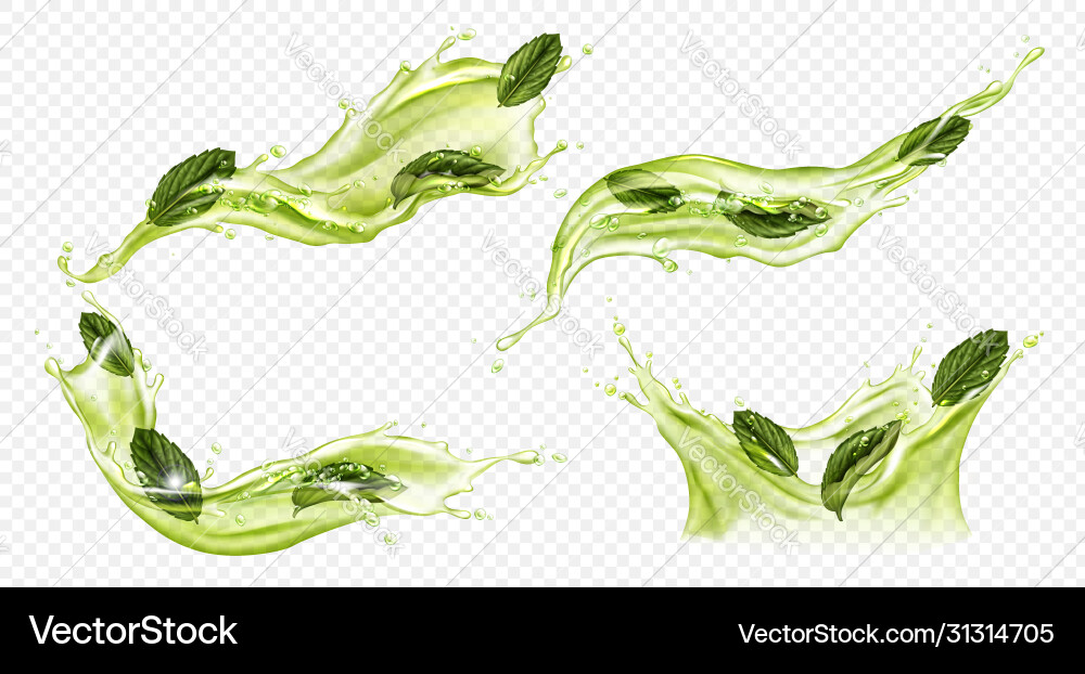 Realistic splash green tea or matcha Royalty Free Vector