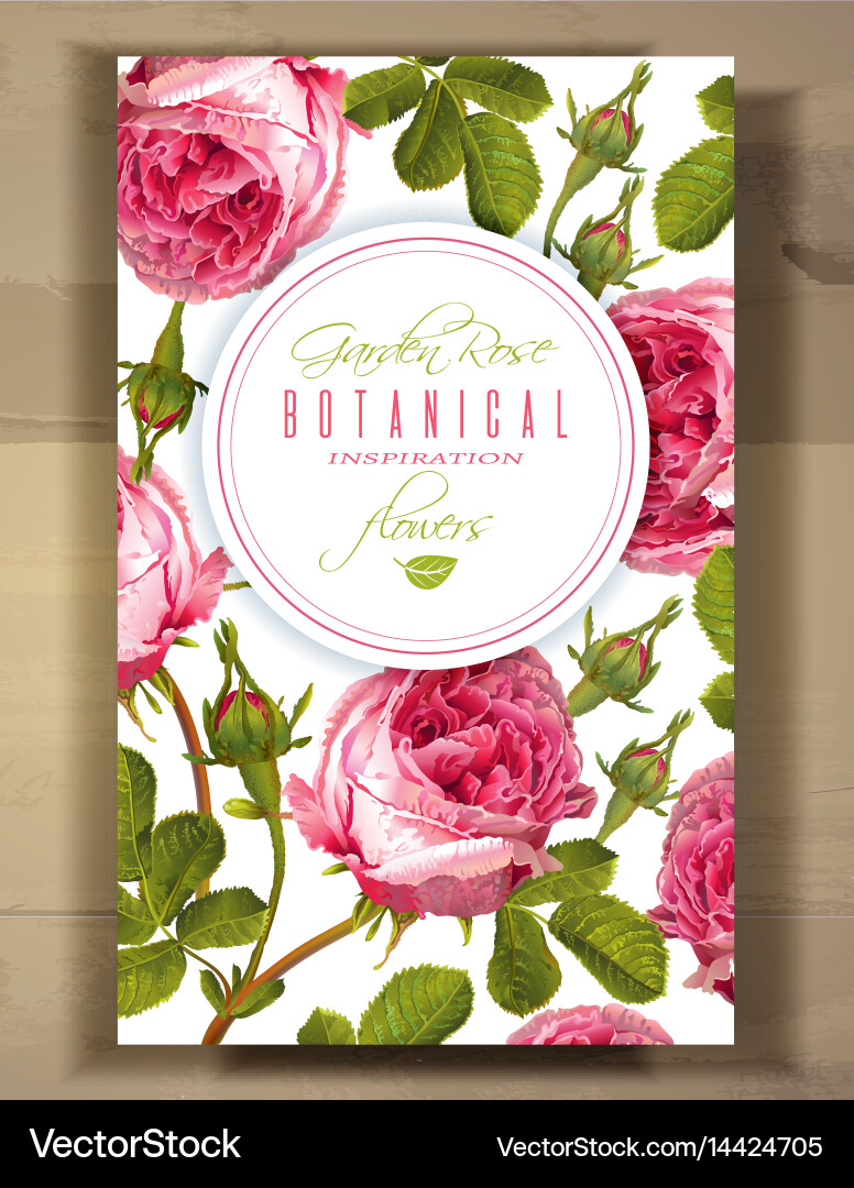 Rose vertical banner Royalty Free Vector Image