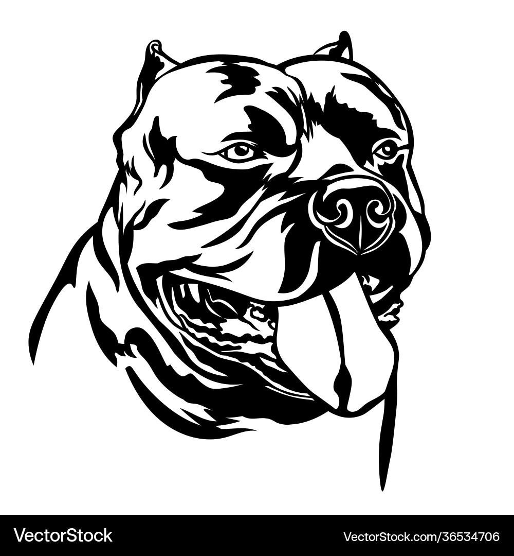 American bully dog black silhouette isolated Vector Image