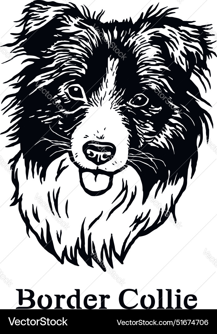 Border collie - funny dog file cut Royalty Free Vector Image
