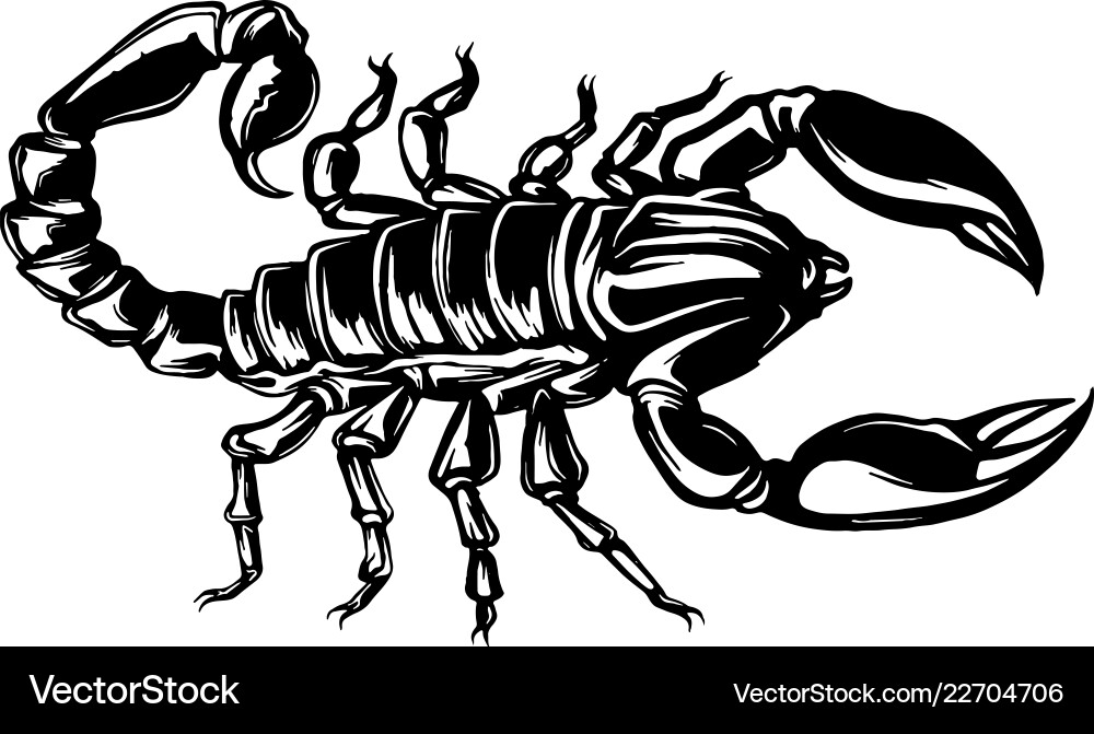 Isolated Scorpion Icon Royalty Free Vector Image