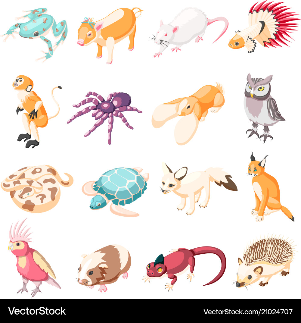 Exotic pets isometric icons Royalty Free Vector Image