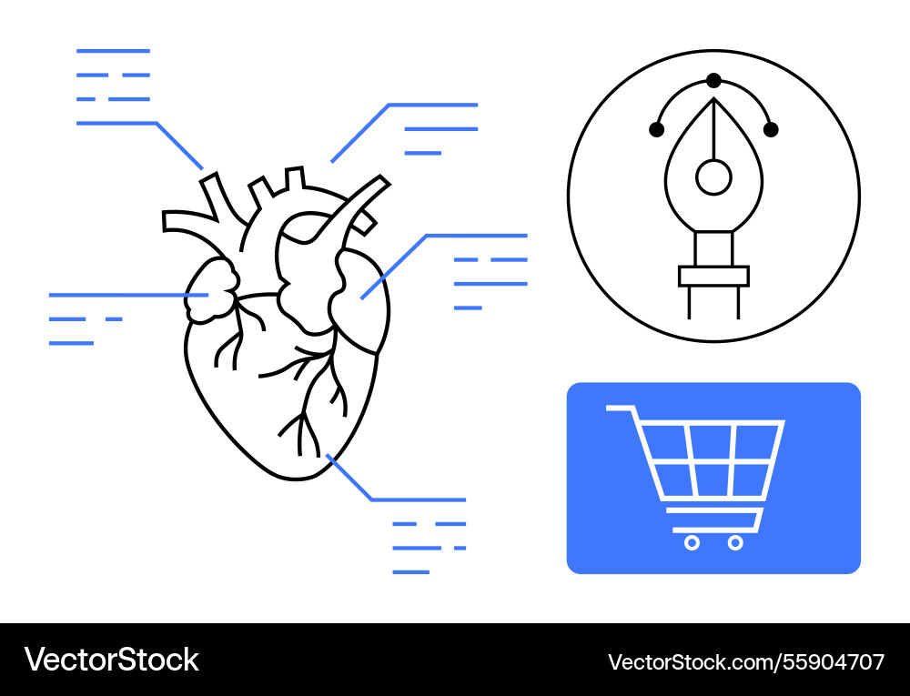 Human heart diagram with pen tool icon Royalty Free Vector