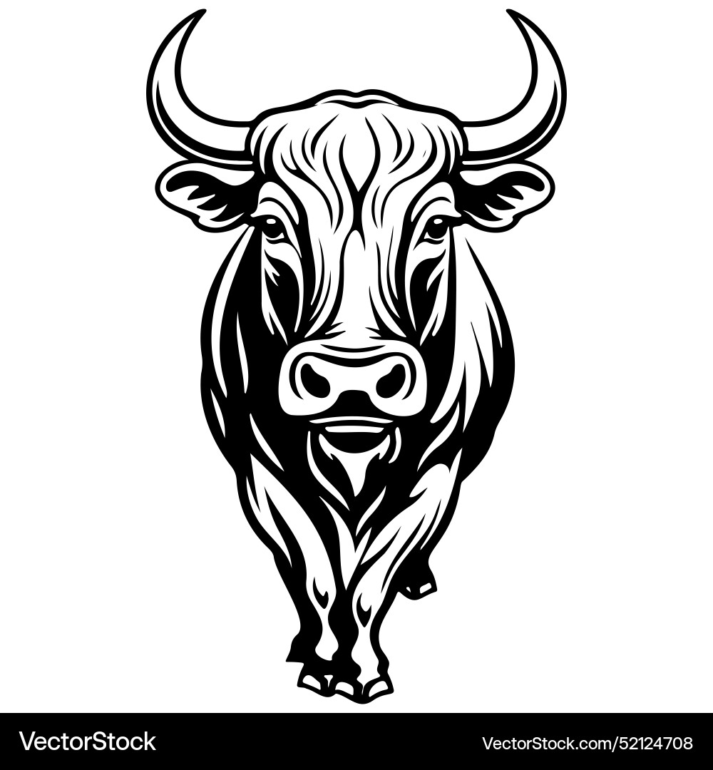 Bull sketch realistic line monochrome drawing Vector Image