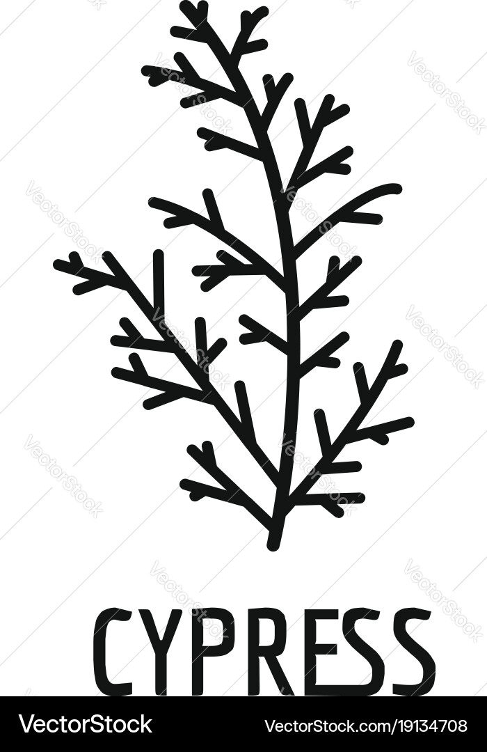 Cypress leaf icon simple black style Royalty Free Vector