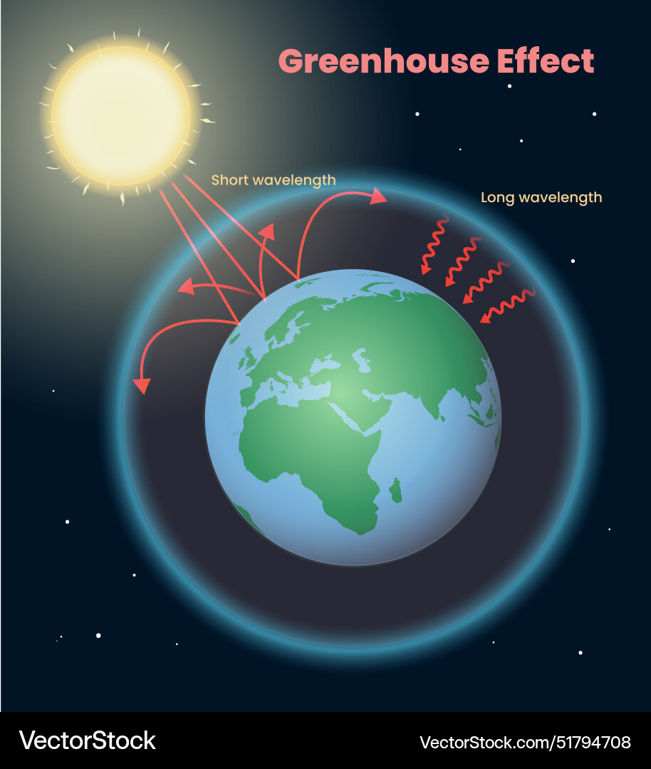 Greenhouse effect infographic Royalty Free Vector Image