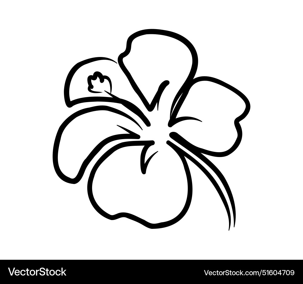 Hibiscus flower in one continuous line drawing Vector Image