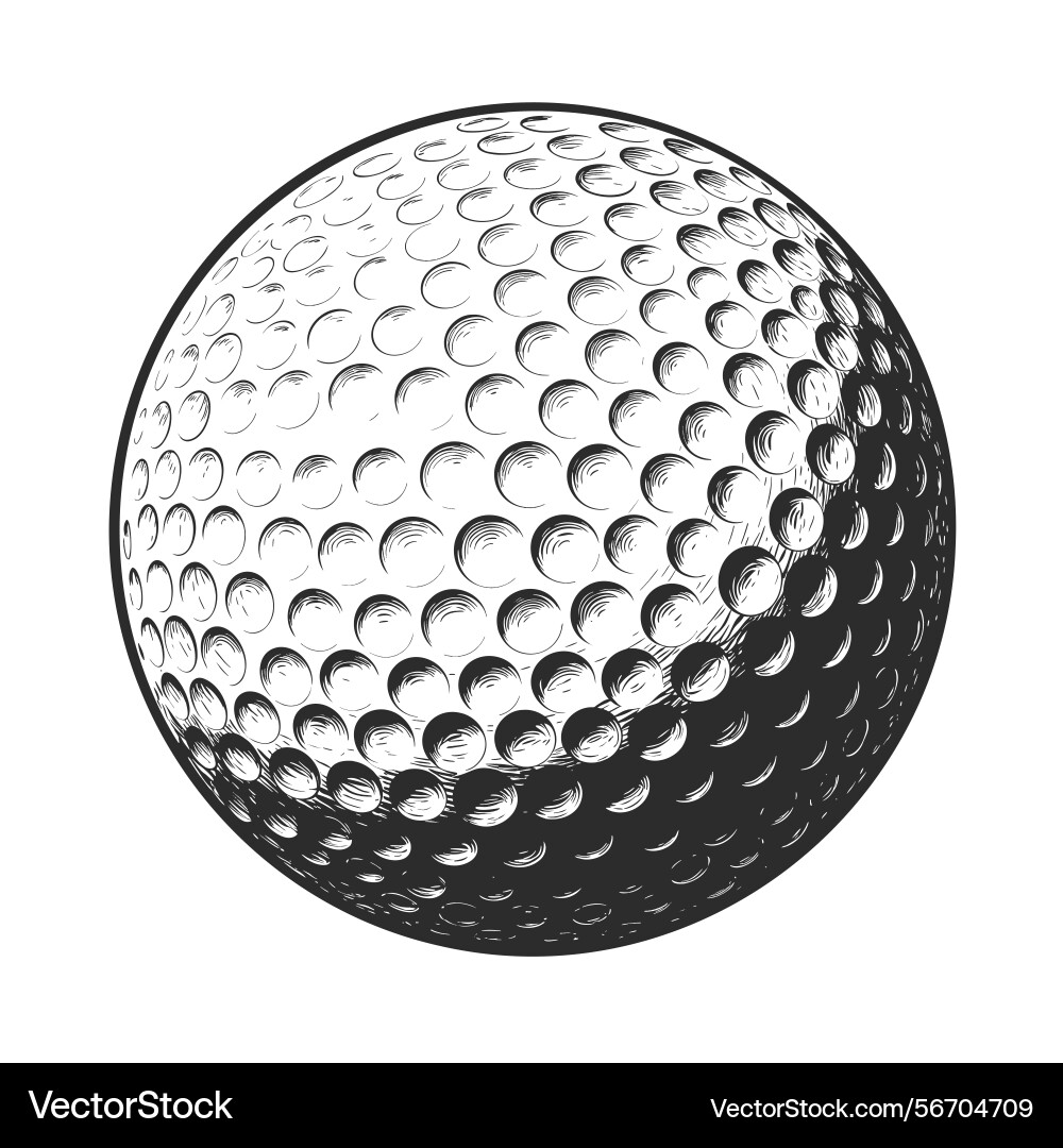 Isolated Golf Ball Line Art Royalty Free Vector Image