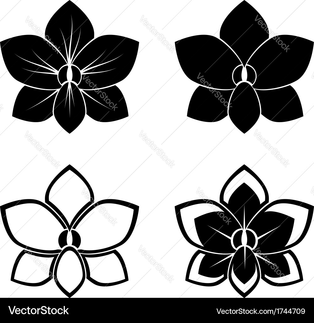Orchid Flower Outline Vector Images (over 5,800)