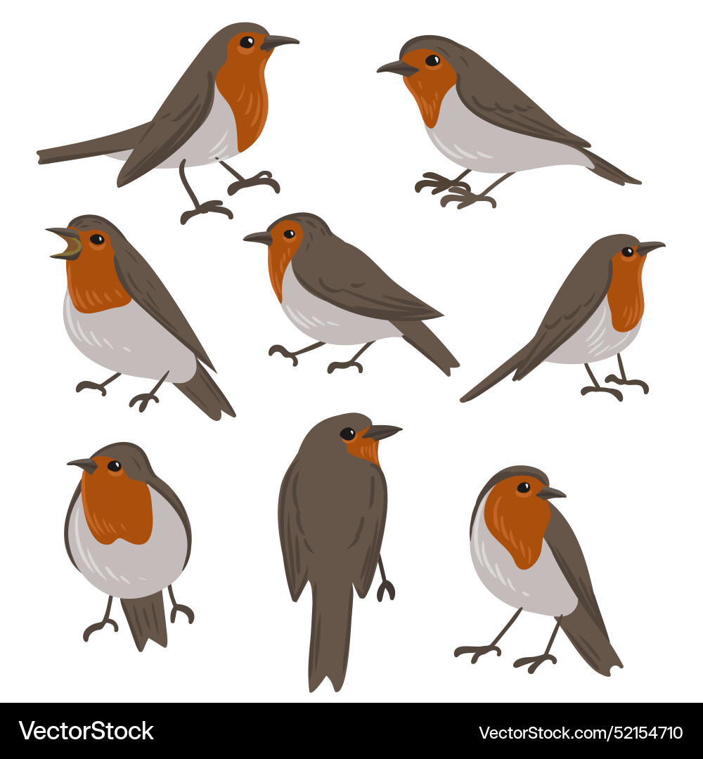 Drawing bird european robin Royalty Free Vector Image