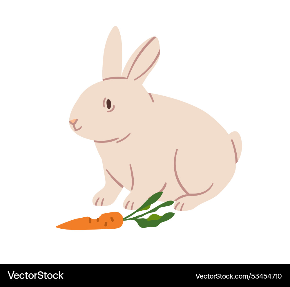 Farm rabbit eating carrot cute bunny feeding Vector Image