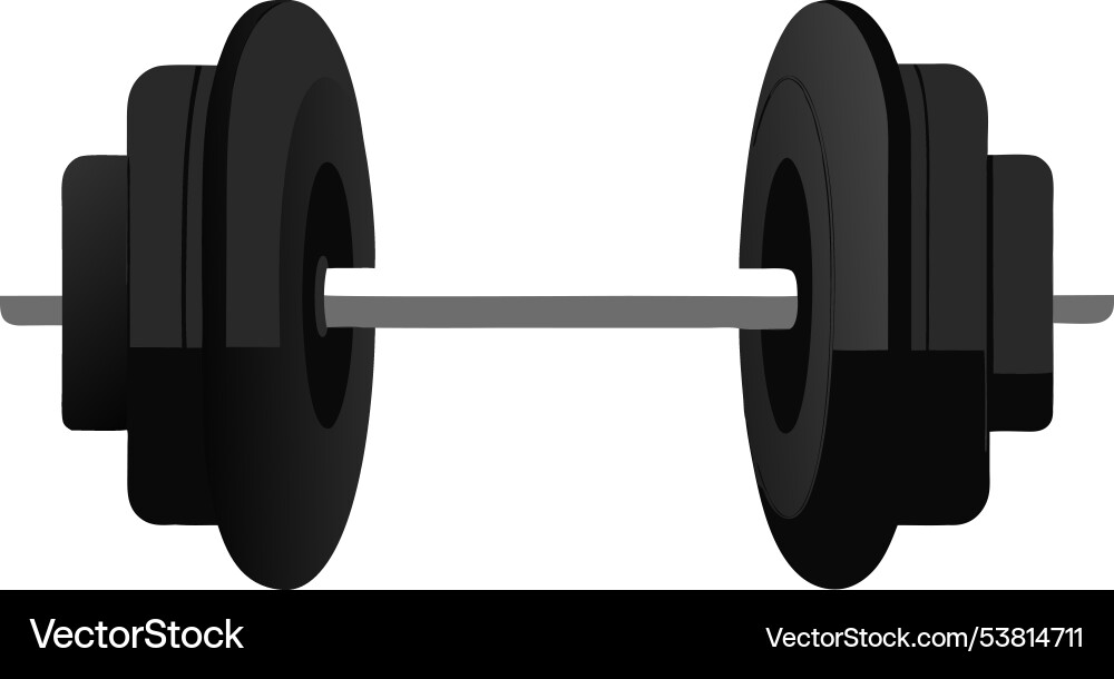 Black barbell with weight plates on white Vector Image