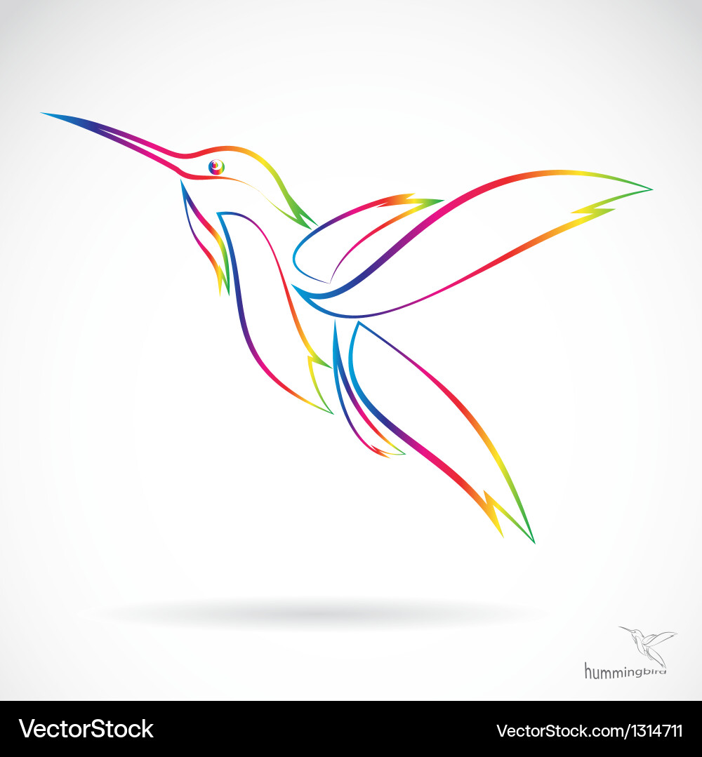 Hummingbird Royalty Free Vector Image - VectorStock