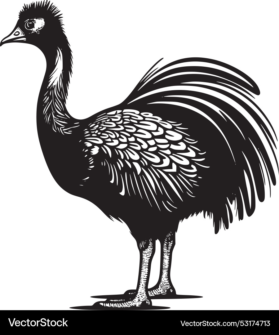 Dodo - minimalist and simple silhouette Royalty Free Vector