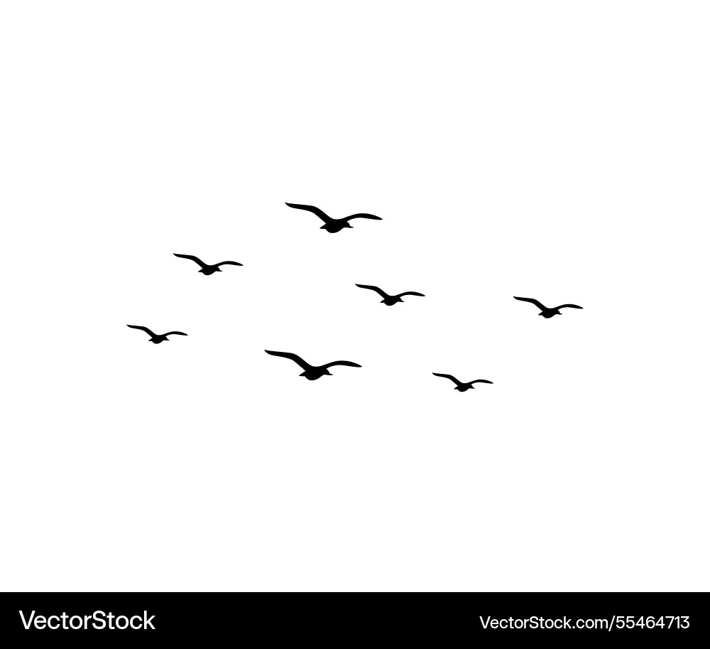 Simple birds flying Royalty Free Vector Image - VectorStock