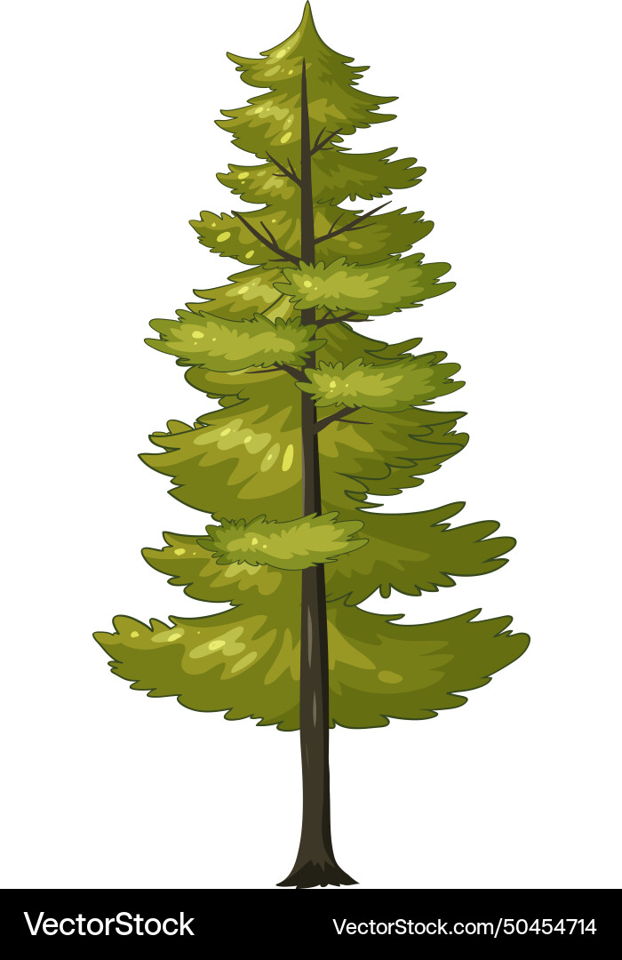 A stylized of green pine tree Royalty Free Vector Image