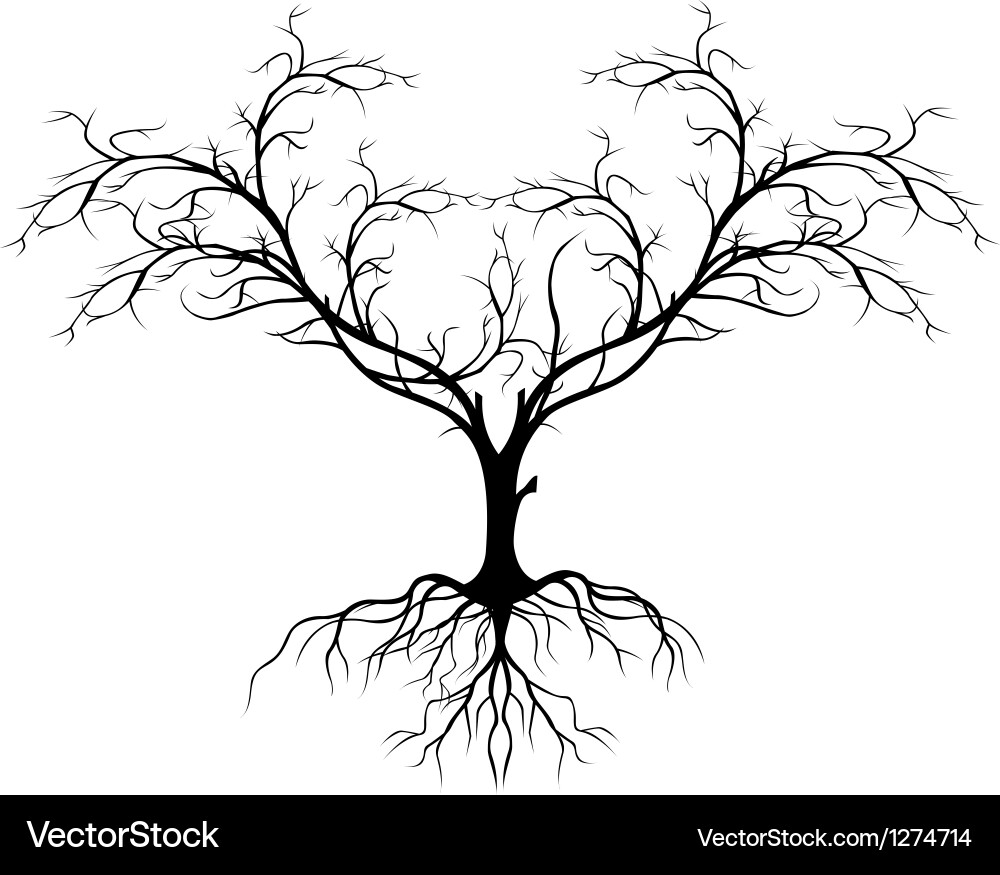 Tree Without Leaf Vector Images (over 250)
