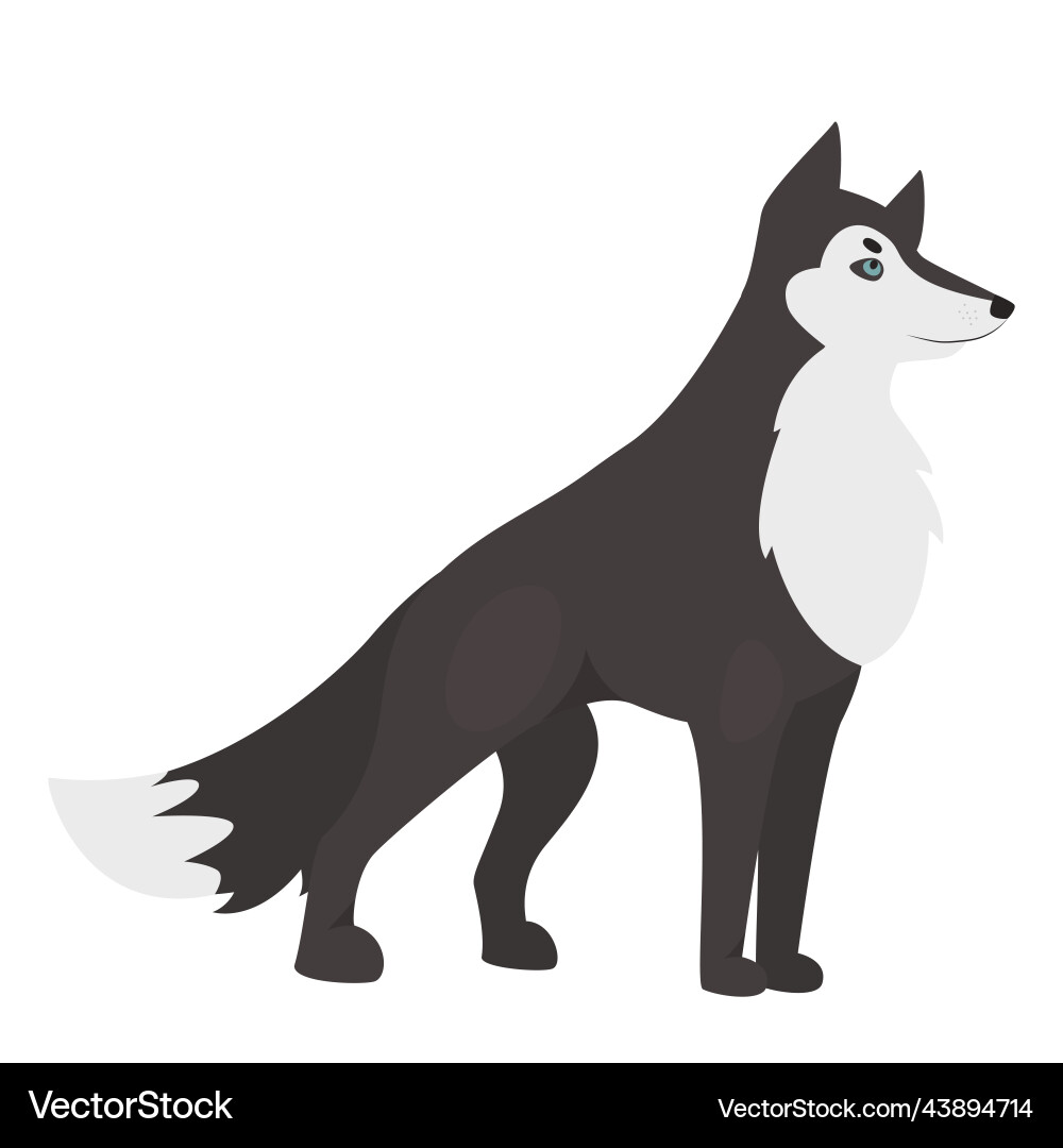 Wild wolf animal Royalty Free Vector Image - VectorStock