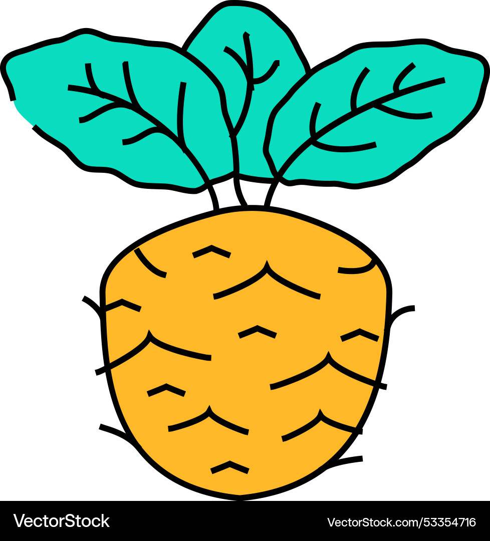 Kohlrabi cabbage icon color Royalty Free Vector Image