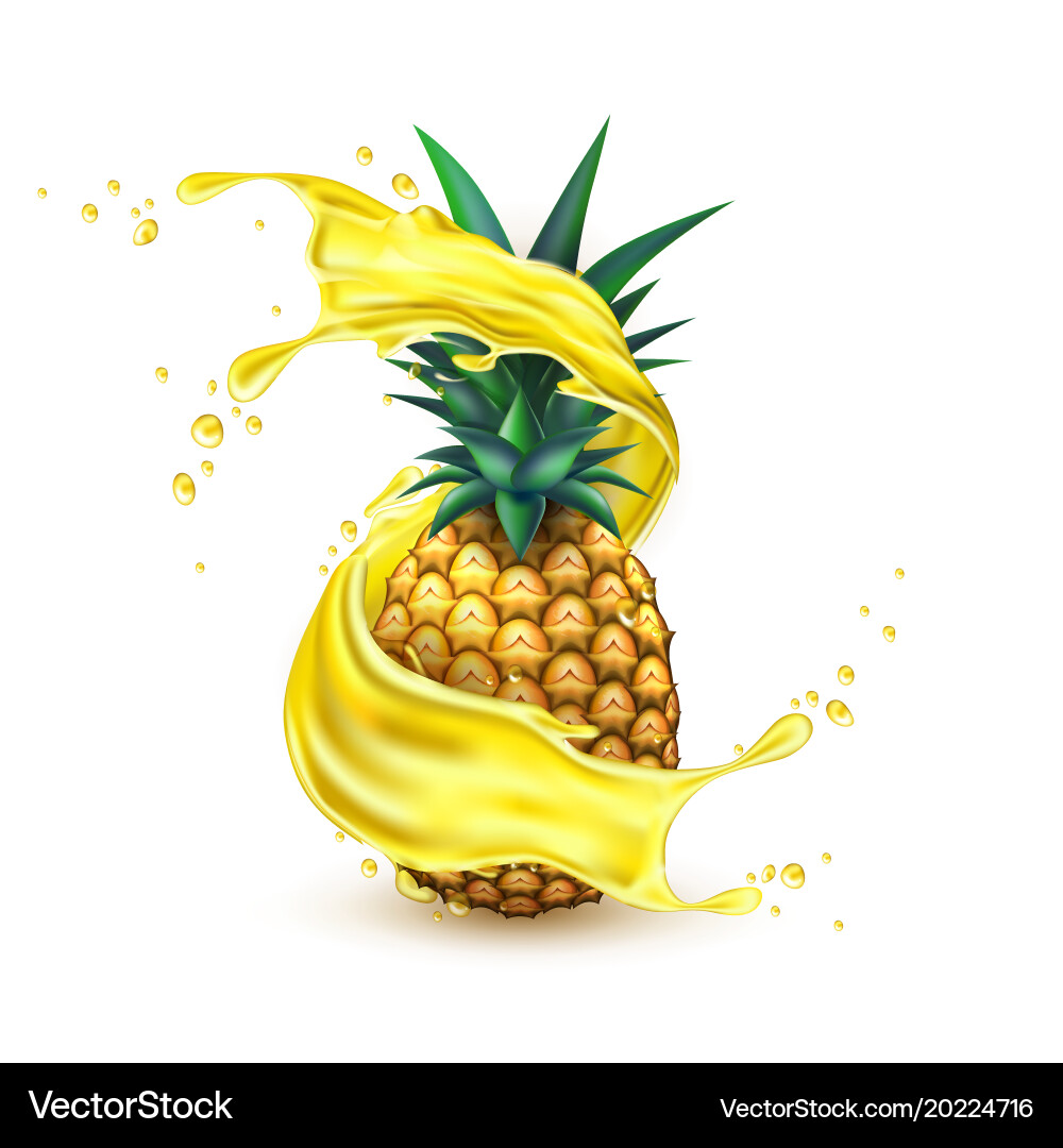 Pineapple Juice Splash Royalty Free Vector Image