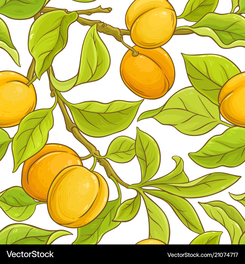 Apricot seamless pattern Royalty Free Vector Image