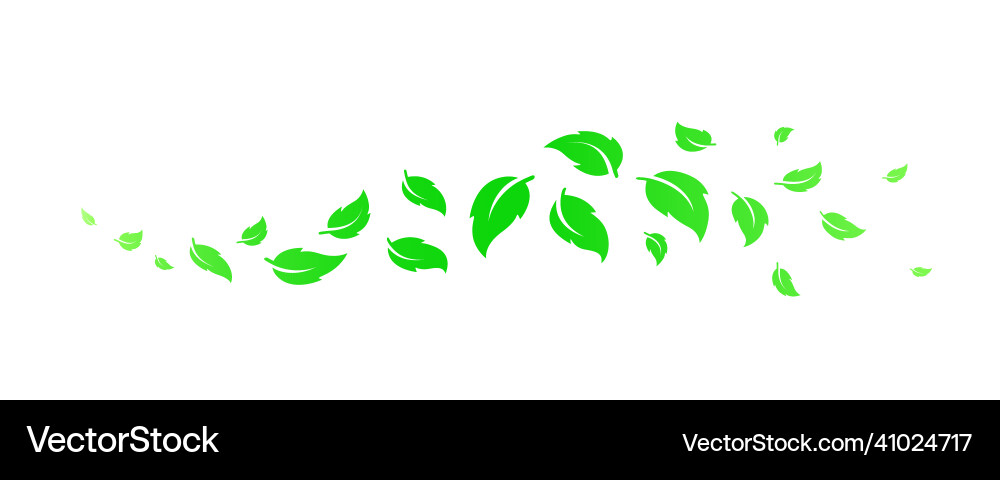 Green nature swirl wave with leaf silhouettes Vector Image
