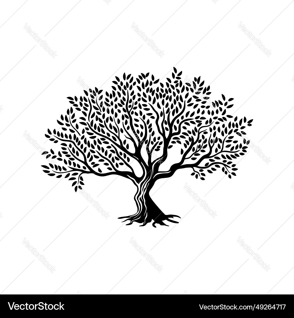 Olive tree isolated silhouette icon or sign Vector Image