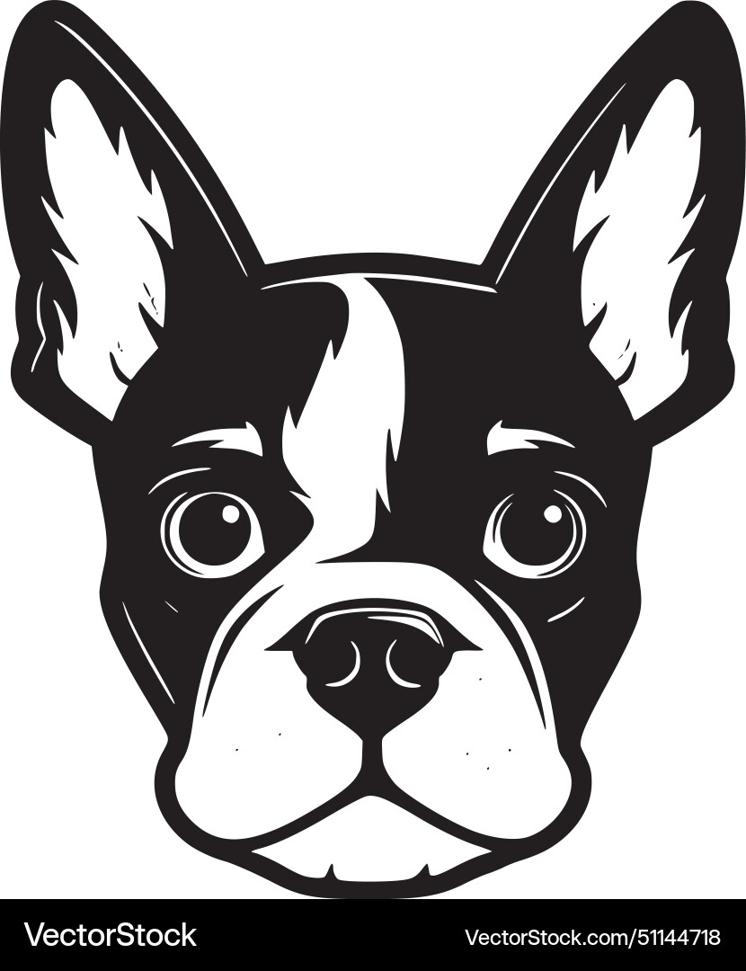 Boston terrier - high quality logo ideal Vector Image