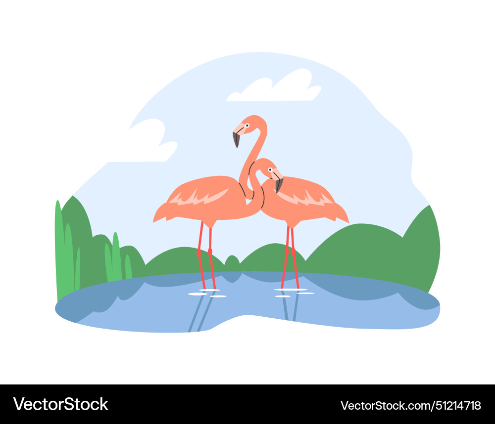Flamingos in wetland Royalty Free Vector Image
