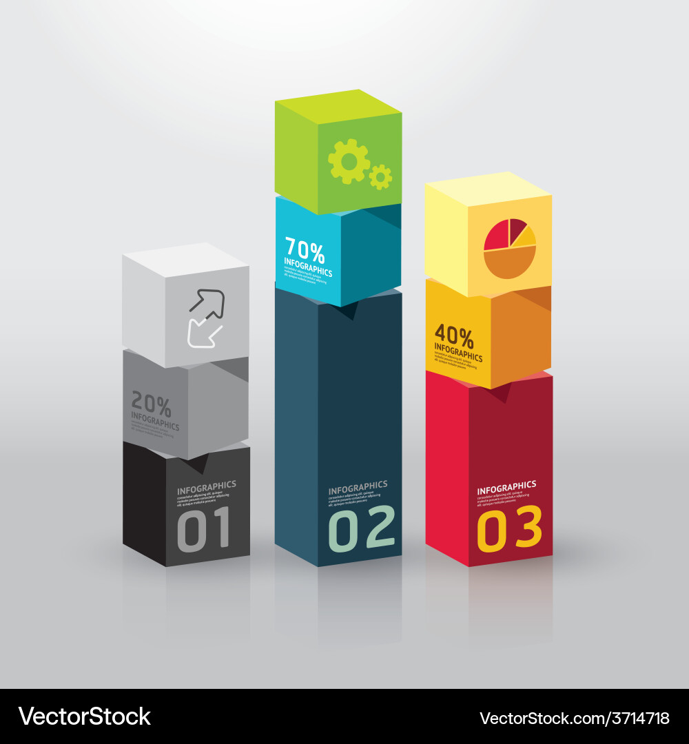 Infographic template modern box design minimal Vector Image