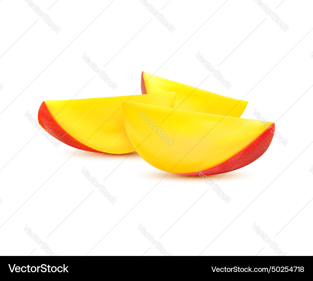 Raw tropical realistic mango fruit slices Vector Image